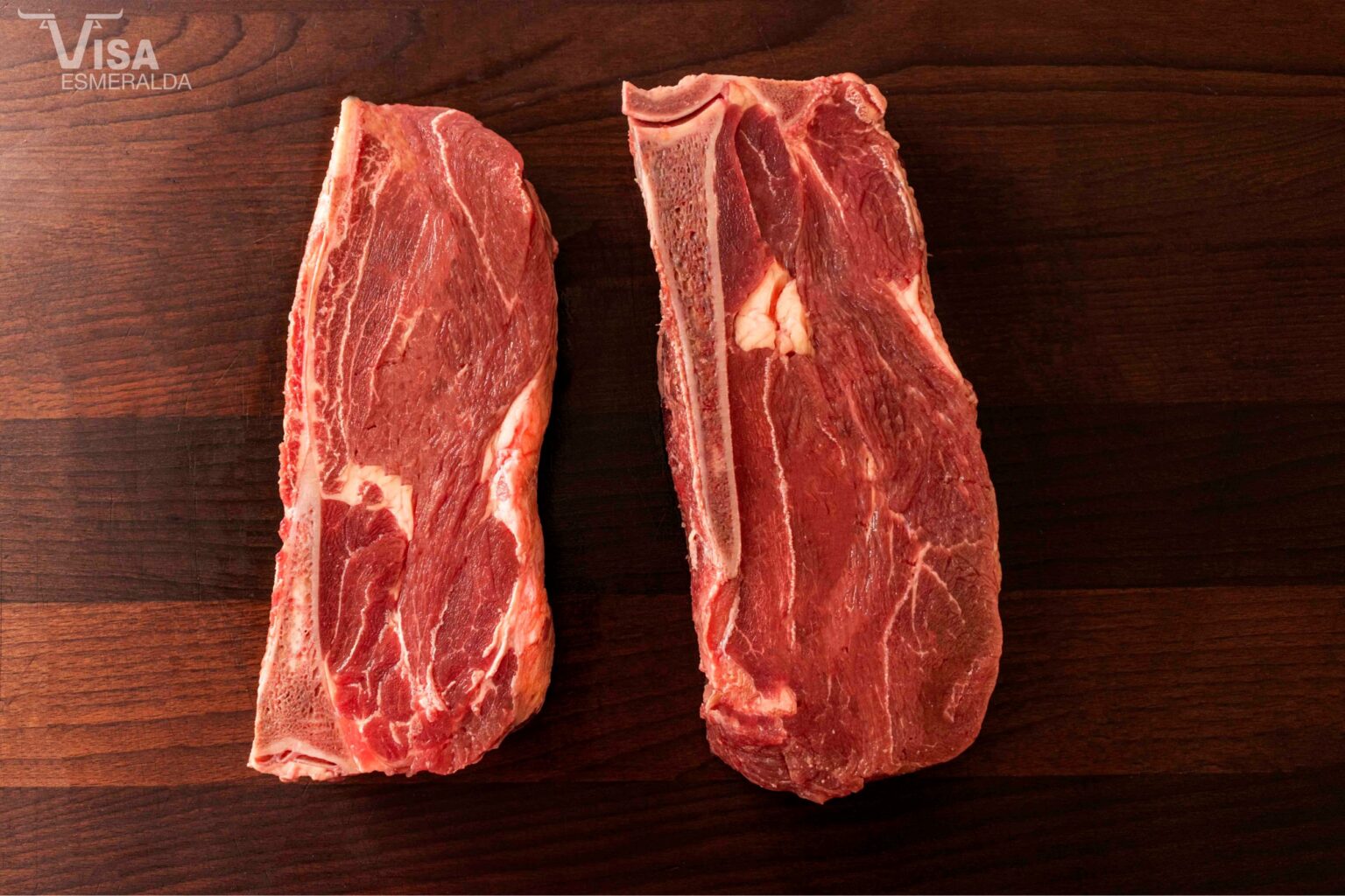 Aguja Norteña – Nacional – visaesmeralda.com